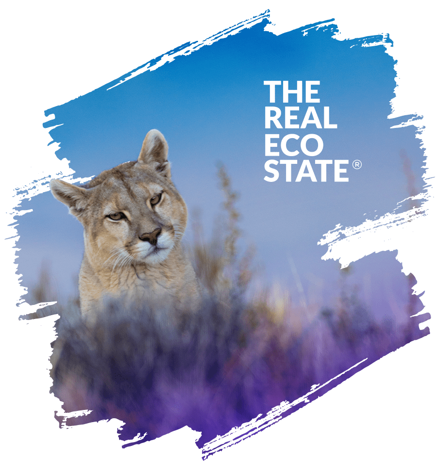 The Real Eco State | About us